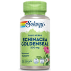 Echinacea root herbal supplement