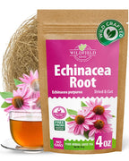 Echinacea root herbal tea benefits