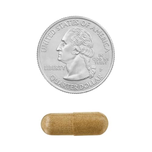 Echinacea supplement for better health
