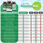 Echinacea supplement for digestive wellness