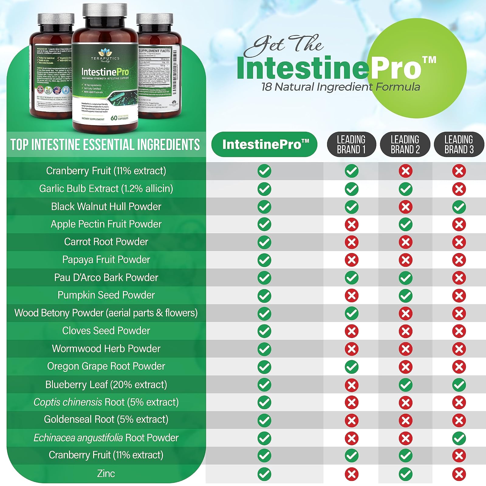 Echinacea supplement for digestive wellness