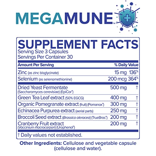 Echinacea supplement for everyday wellness