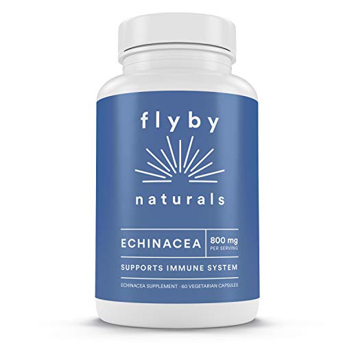 echinacea supplement for health benefits