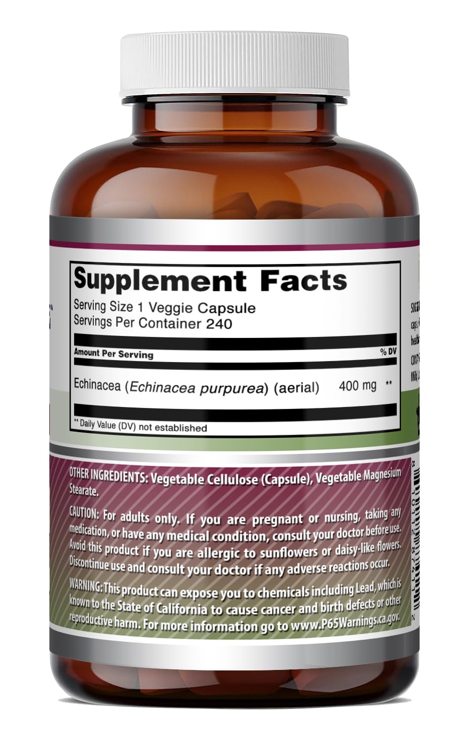 Echinacea supplement for holistic health