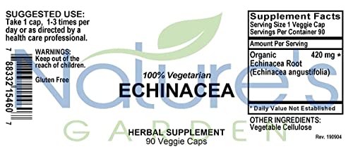 echinacea supplement for holistic wellness
