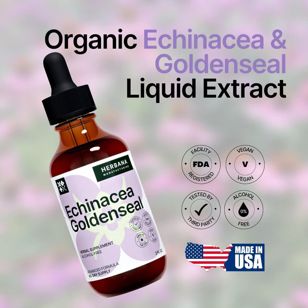 Echinacea supplement for holistic wellness
