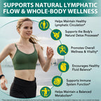 Echinacea supplement for immune support