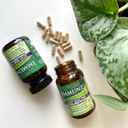 Echinacea supplement for overall health