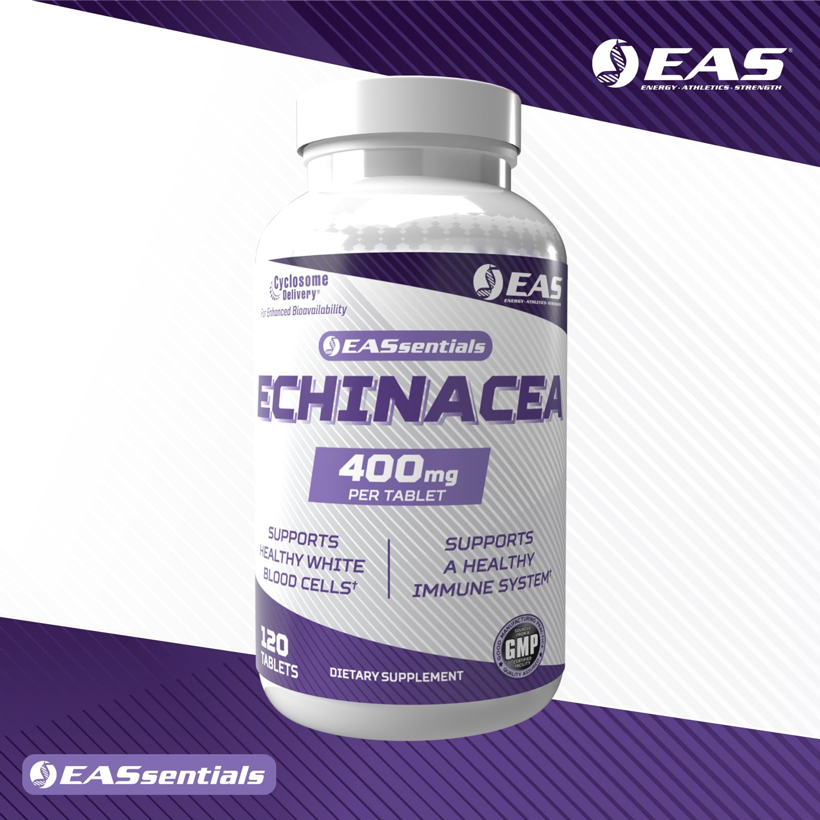 Echinacea supplement for overall health