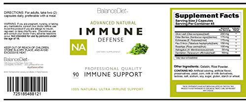 Echinacea supplement for overall wellness