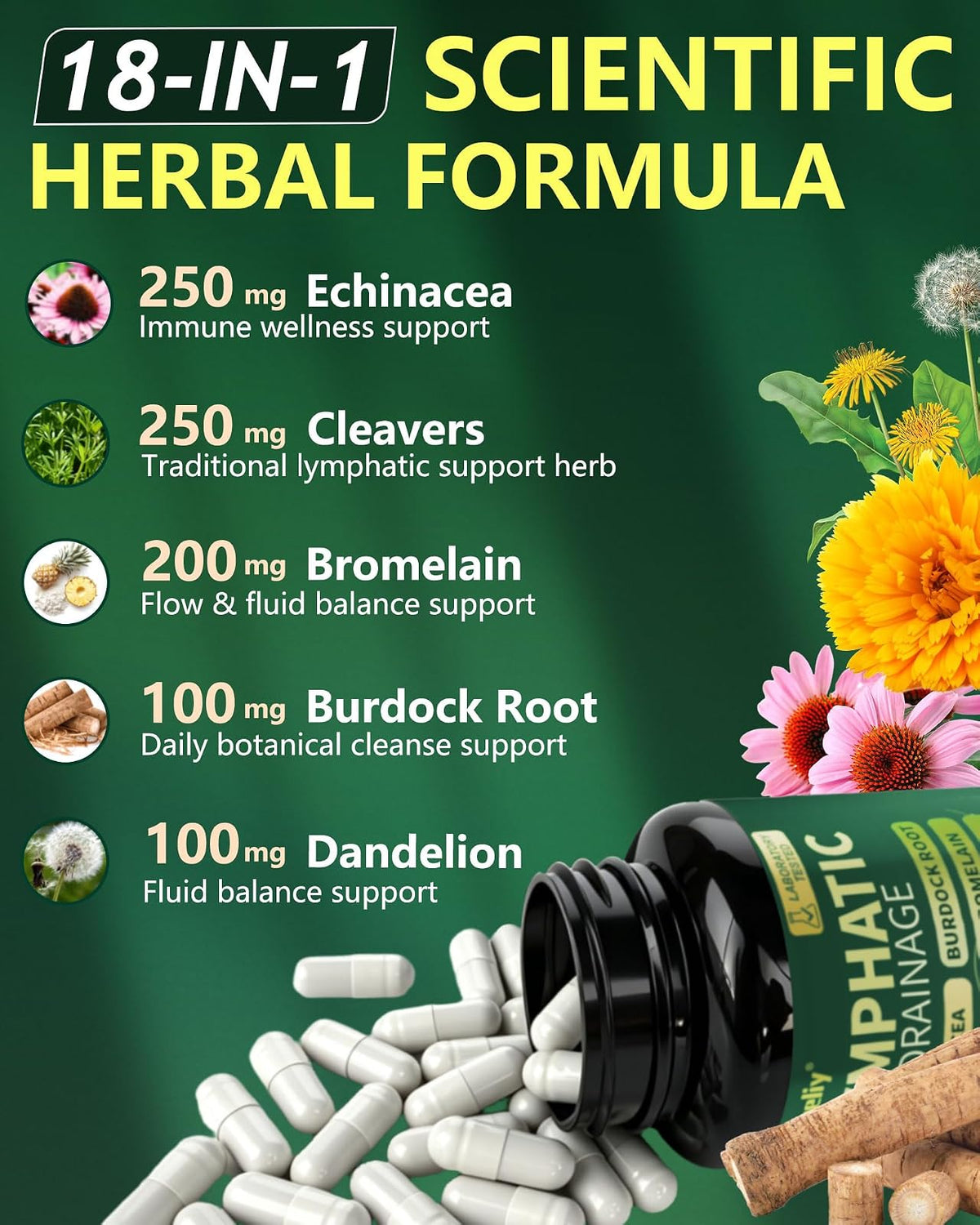 Echinacea supplement for wellness
