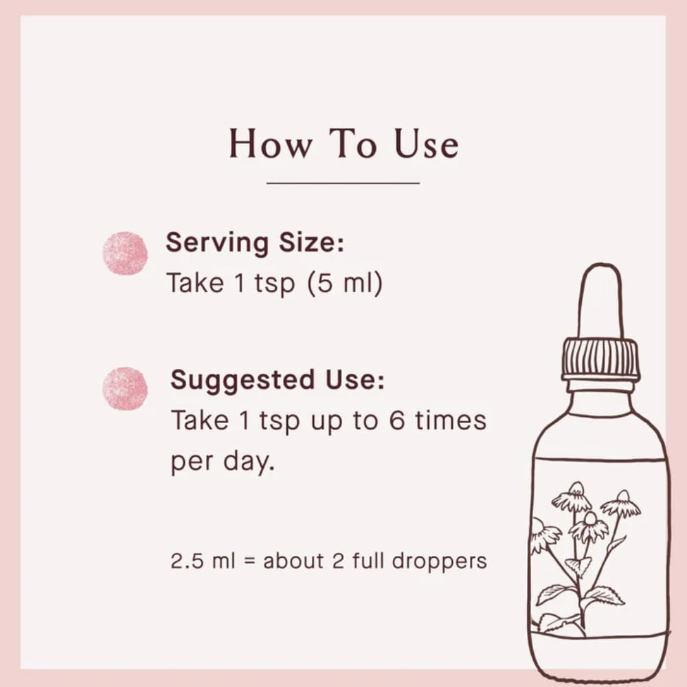 Echinacea supplement for winter wellness