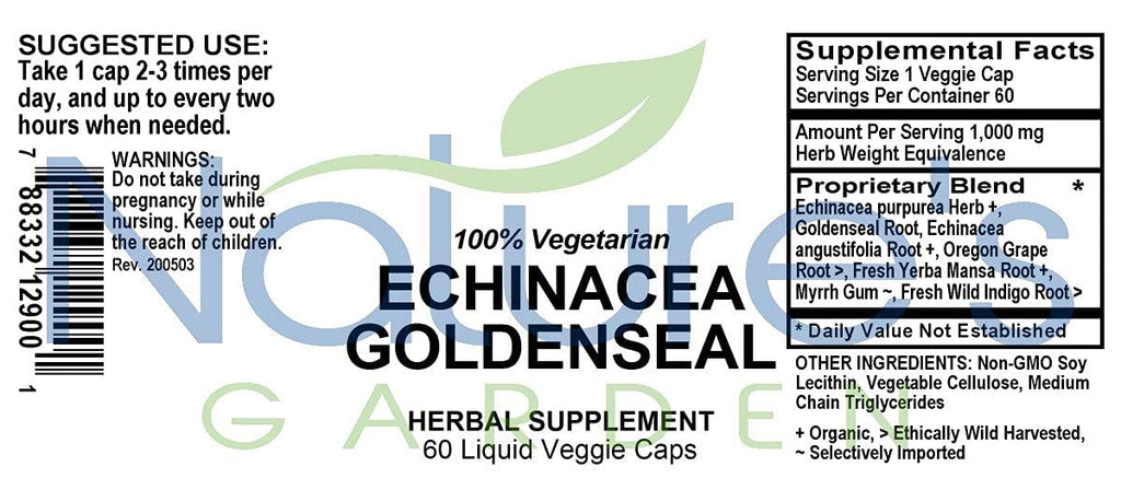 Echinacea supplement for year-round support