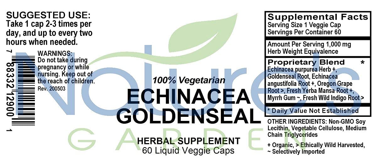 Echinacea supplement for year-round support