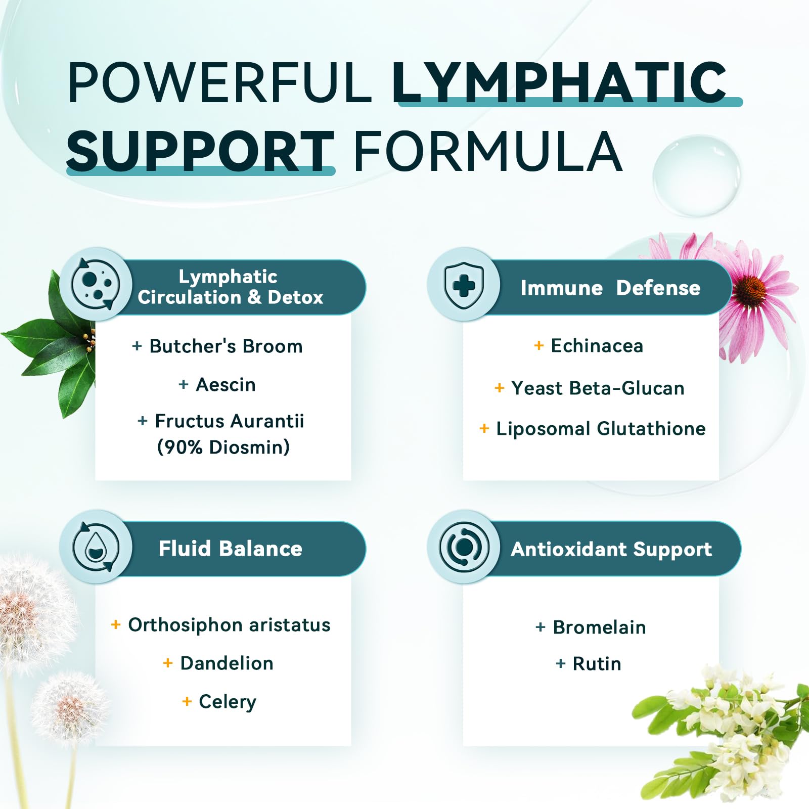 echinacea supplements for holistic health