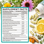 Echinacea supplements for immune support