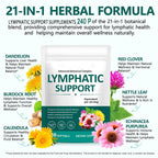 echinacea supplements for lymph health