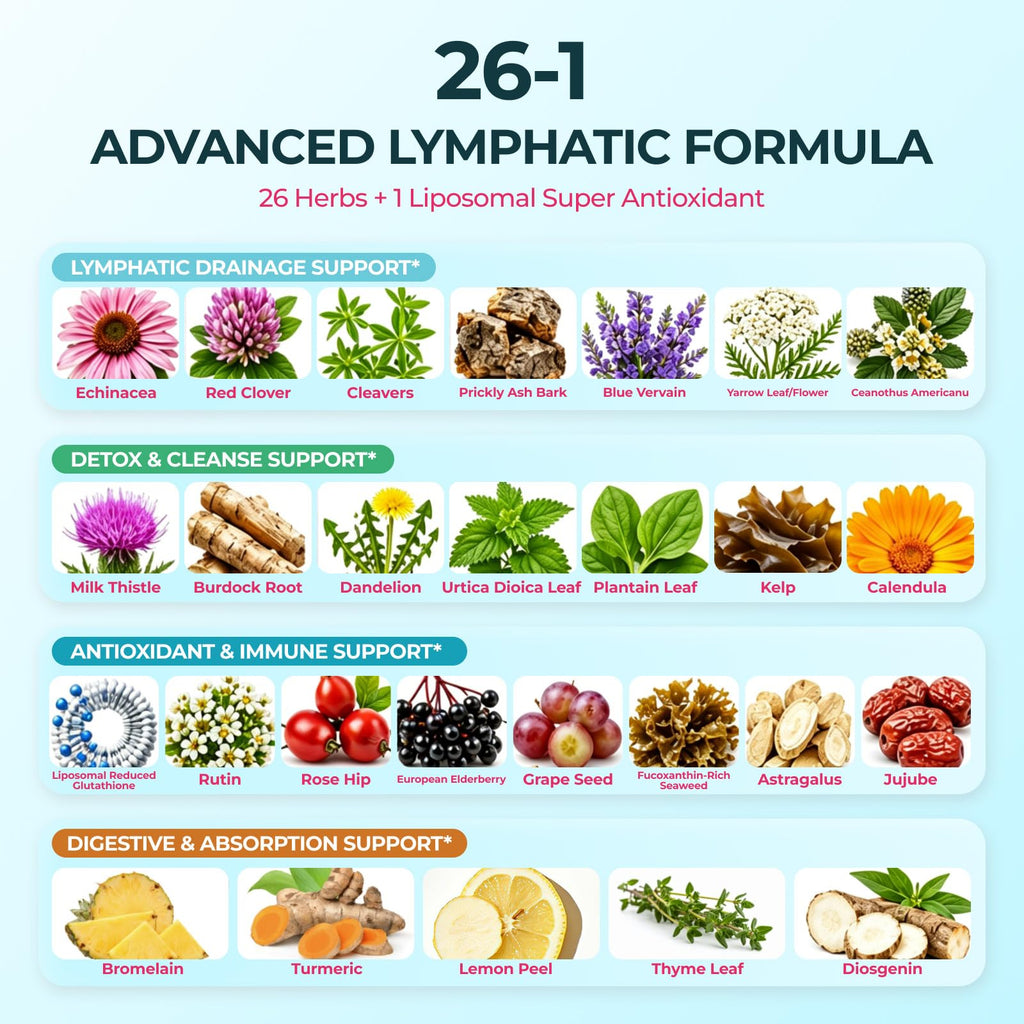 Echinacea support for lymphatic health