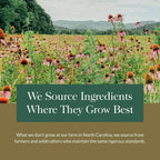 Echinacea Supreme for seasonal health