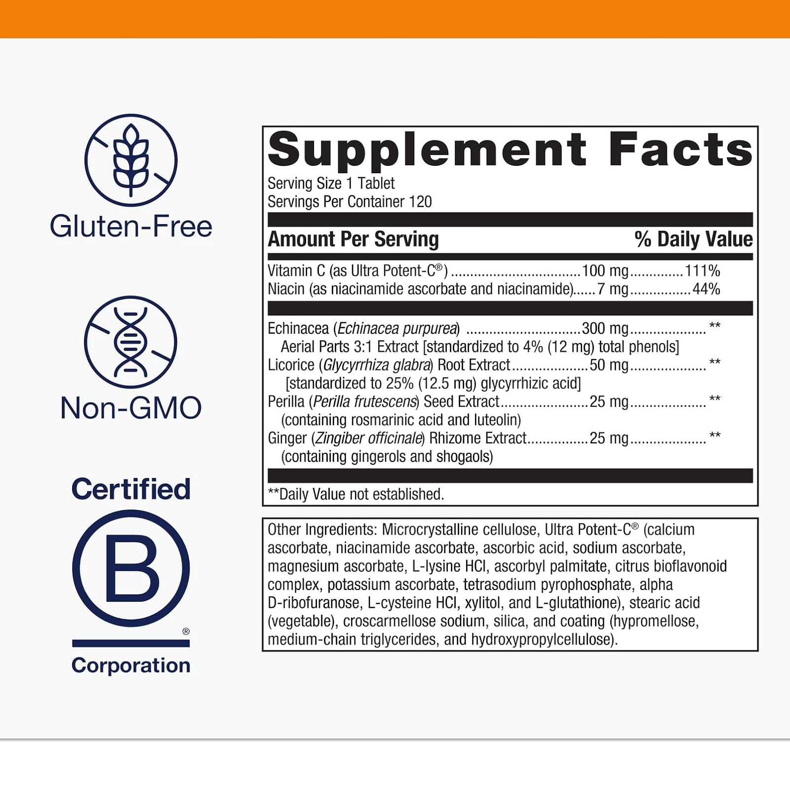 Echinacea Synergy natural health supplement