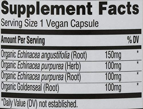 Echinacea tablets for daily use
