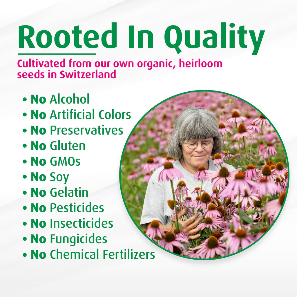Echinacea tablets for holistic health