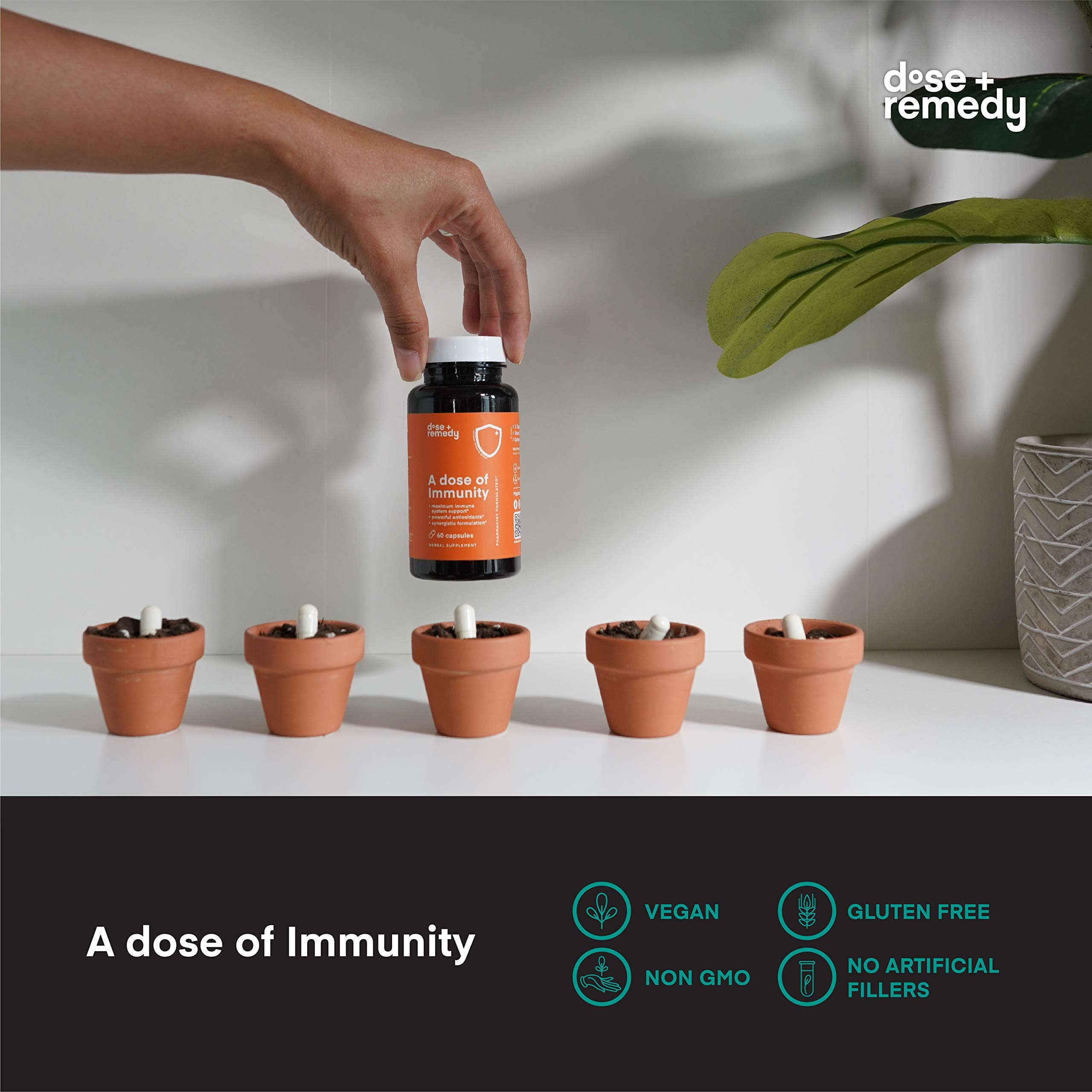 Echinacea tablets for seasonal support