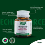 Echinacea tablets for seasonal wellness