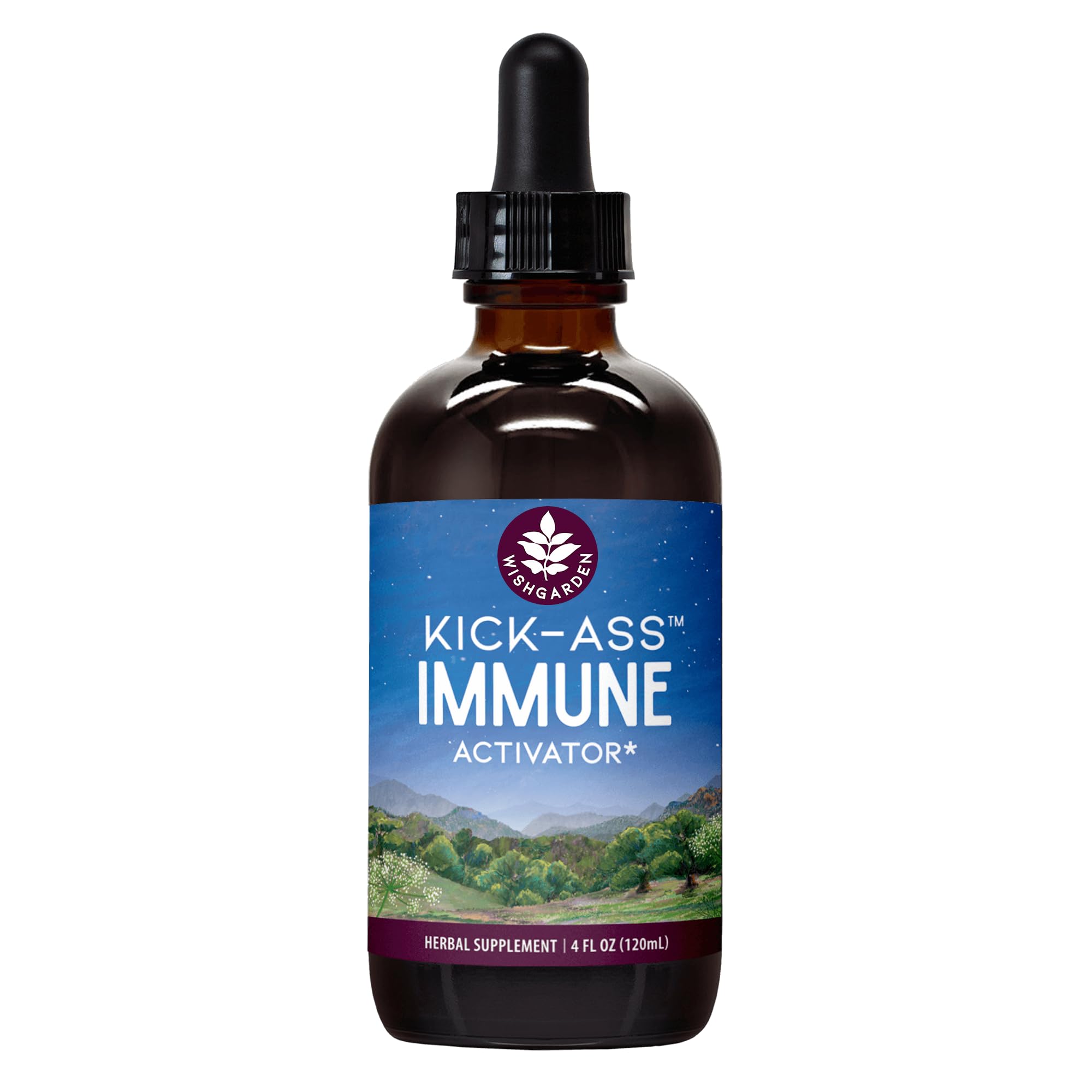 Echinacea Tea Alternative in Tincture
