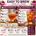 Echinacea tea bags for daily health