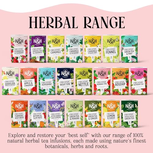Echinacea tea for cold relief