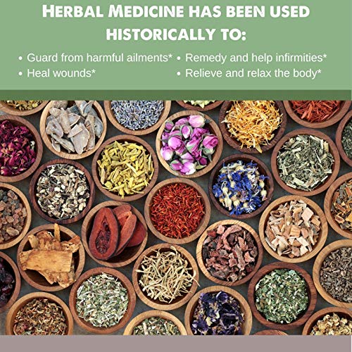 echinacea tea for daily vitality