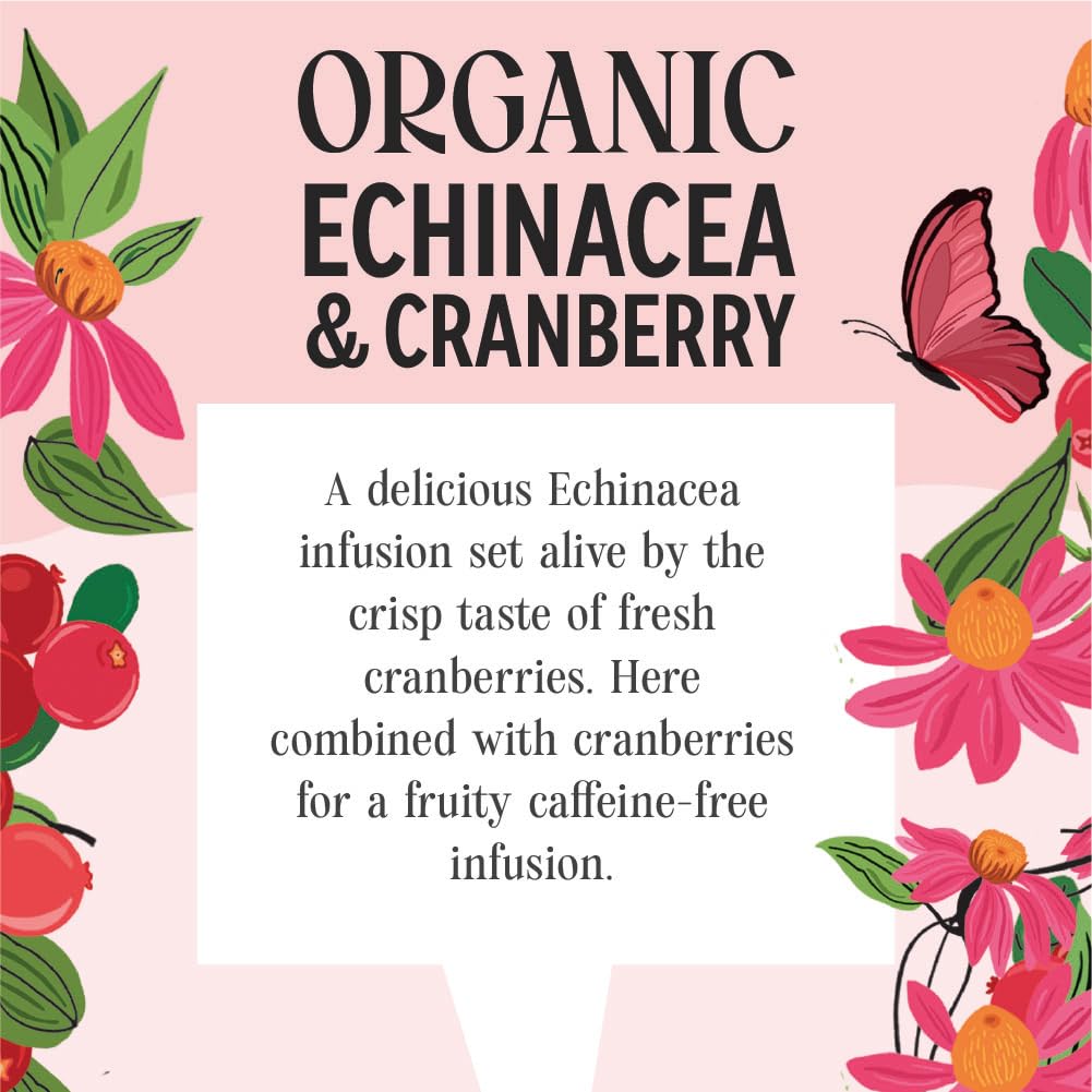 Echinacea tea for immune support