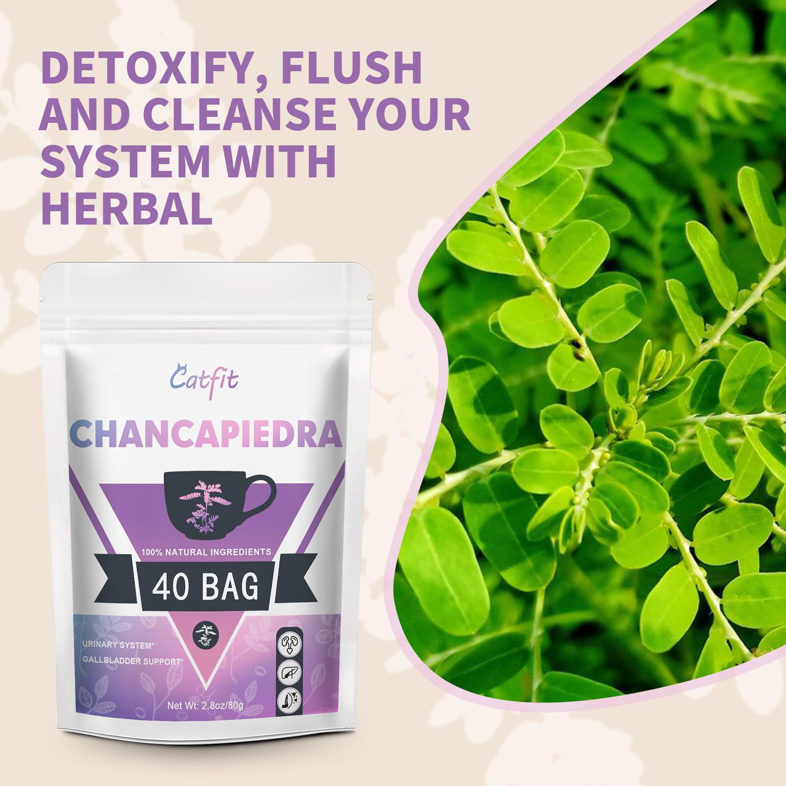 Echinacea tea for immune support