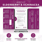 Echinacea tea for immune support
