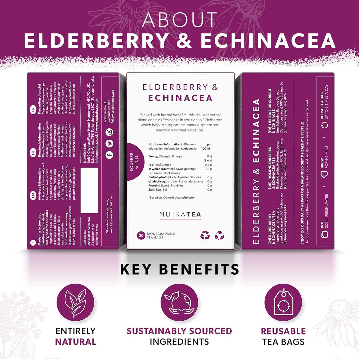 Echinacea tea for immune support