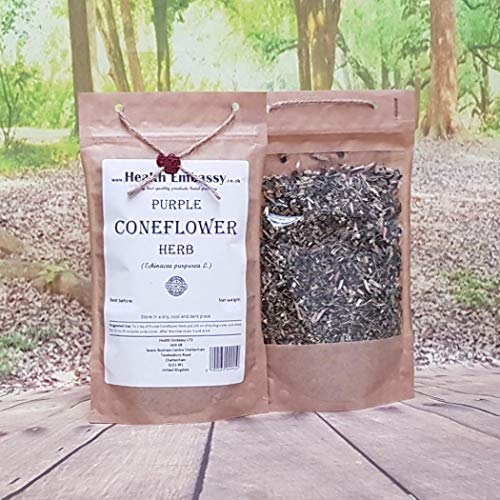 Echinacea tea for immune support