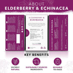 Echinacea tea for immune support