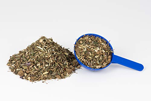 Echinacea tea for soothing relief