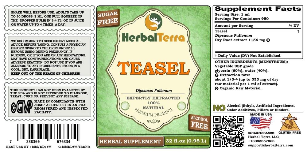 Echinacea Teasel extract for wellness