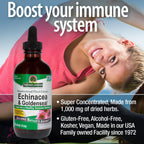 Echinacea tincture for cold relief
