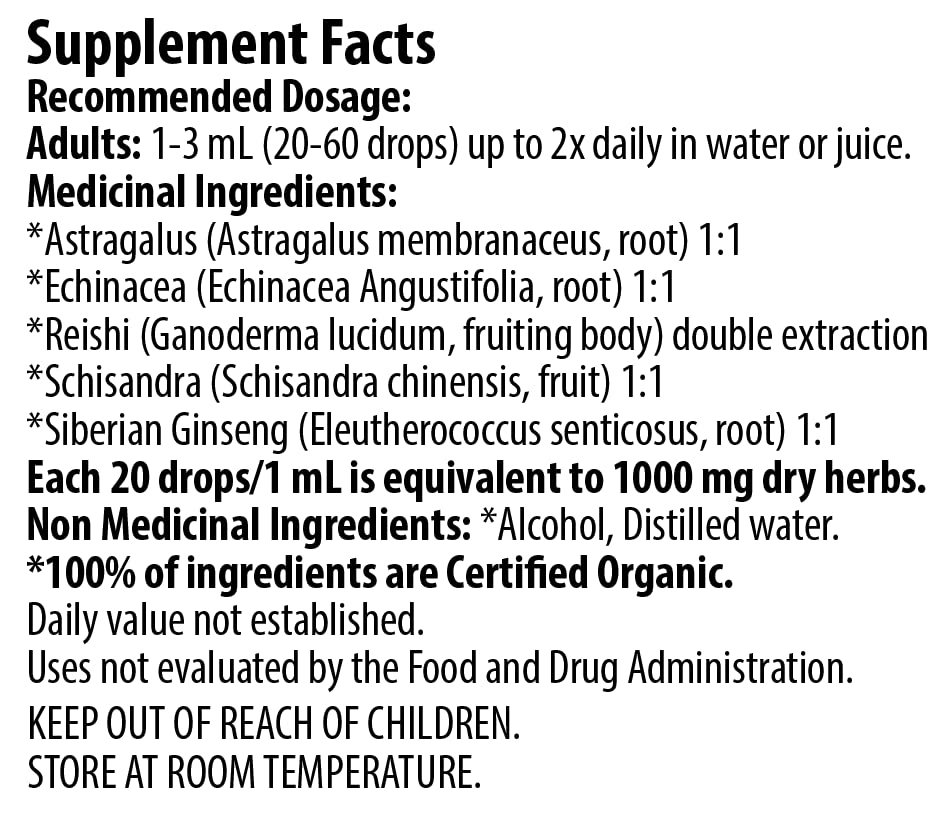 echinacea tincture for everyday use