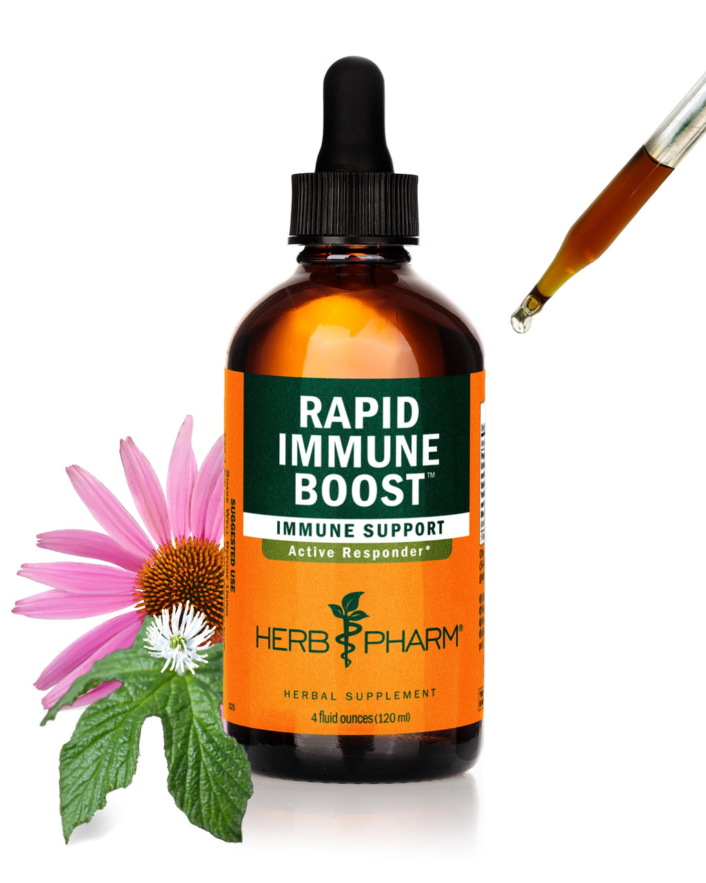 echinacea tincture for immune health