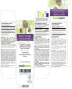 Echinacea tincture for immune support