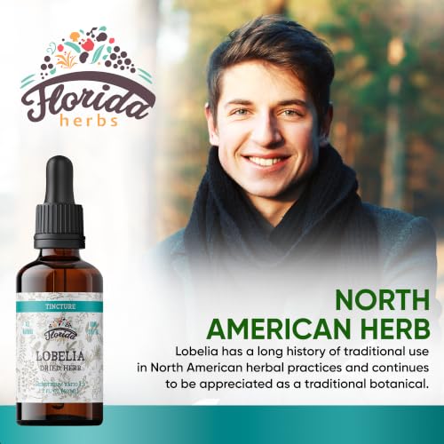 Echinacea tincture for immune support