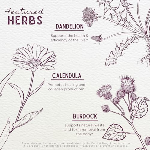 Echinacea tincture for immune support