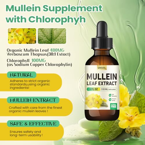Echinacea tincture for immune support
