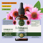 Echinacea tincture for overall health