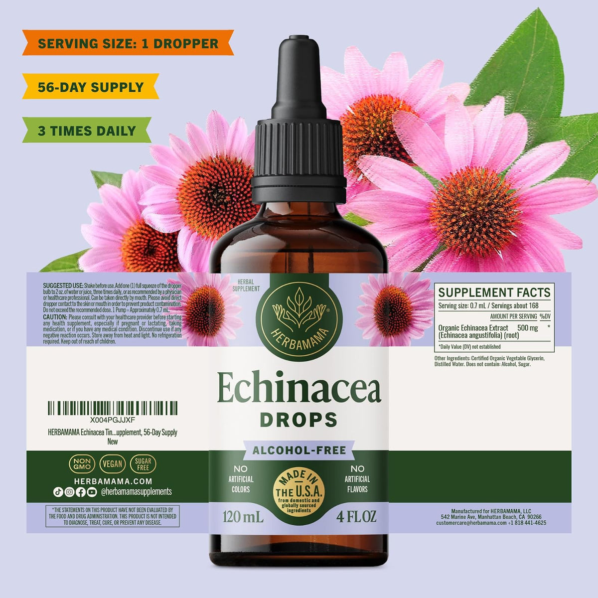 Echinacea tincture for overall health