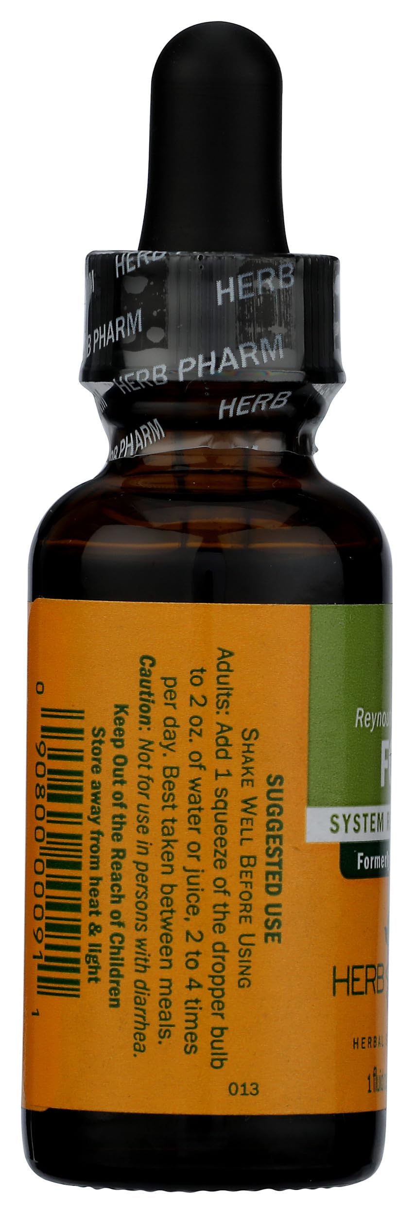 Echinacea tincture for seasonal health